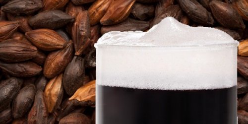 Ingredientes para hacer cerveza