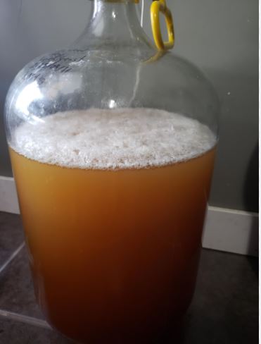 💥 5 claves para fermentar con éxito tu cerveza